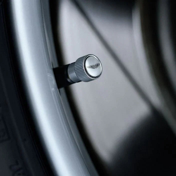 Tire Valve Stem Caps – Box 2 Motorsport